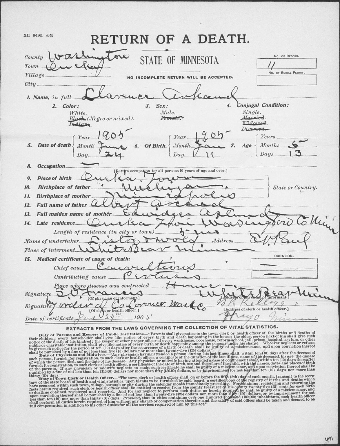An Aunt and Her Niece (Part 2 of 2) - White Bear Lake Vadnais Genealogy ...